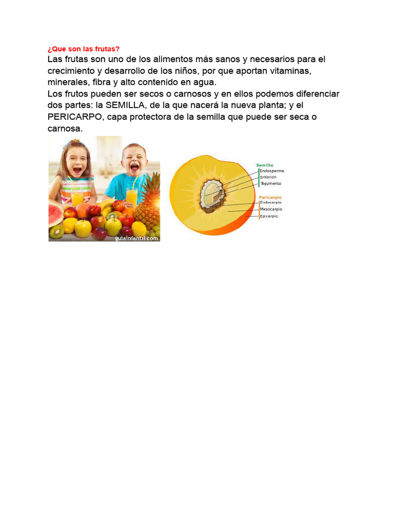 ¿Que Son Las Frutas | PDF
