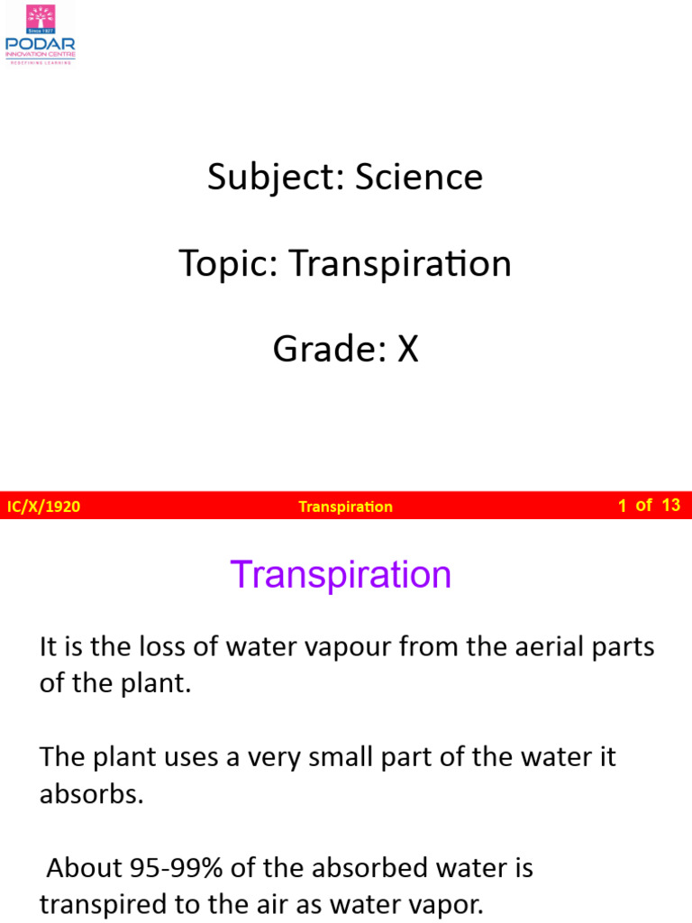 X Bio Transpiration | PDF
