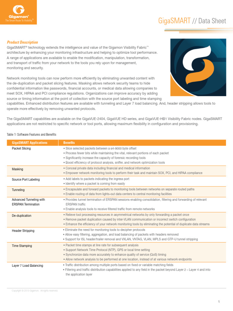 Gigamon GigaSMART Datasheet July 2013 Engl | PDF | Computer Network ...