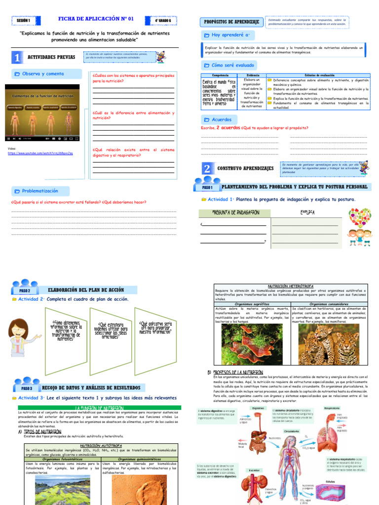 FICHA 1 CYT IV UNIDAD ALUMNO - Explicamos La Función de Nutrición y La Transformación de ...