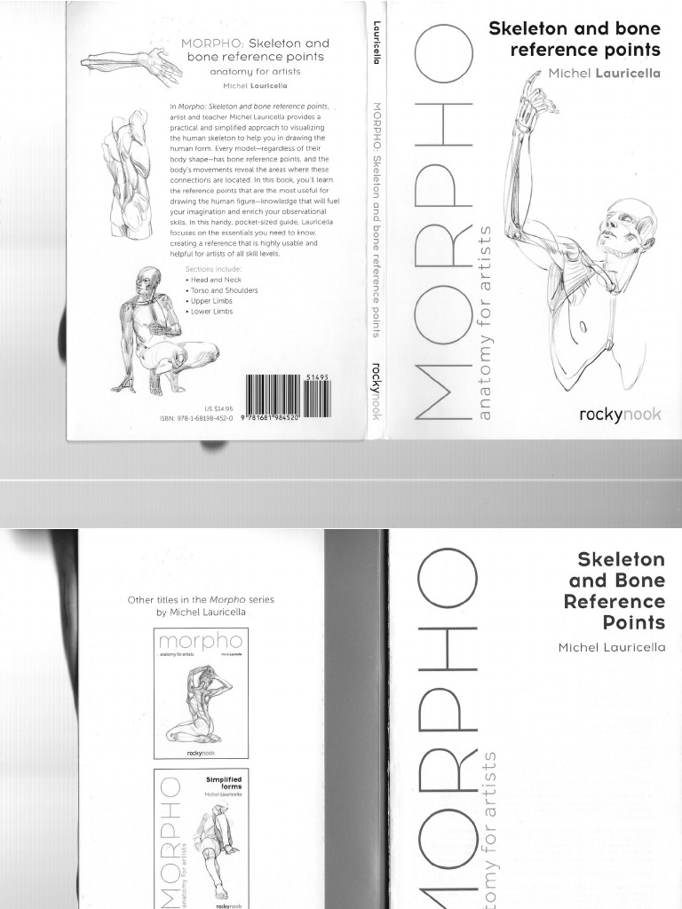 MORPHO Skeleton and Bone Reference Points | PDF