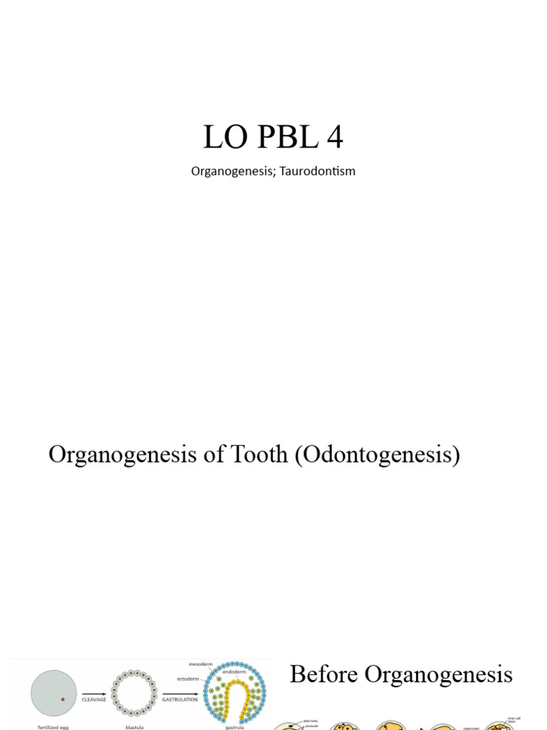 Lo PBL 4 | PDF