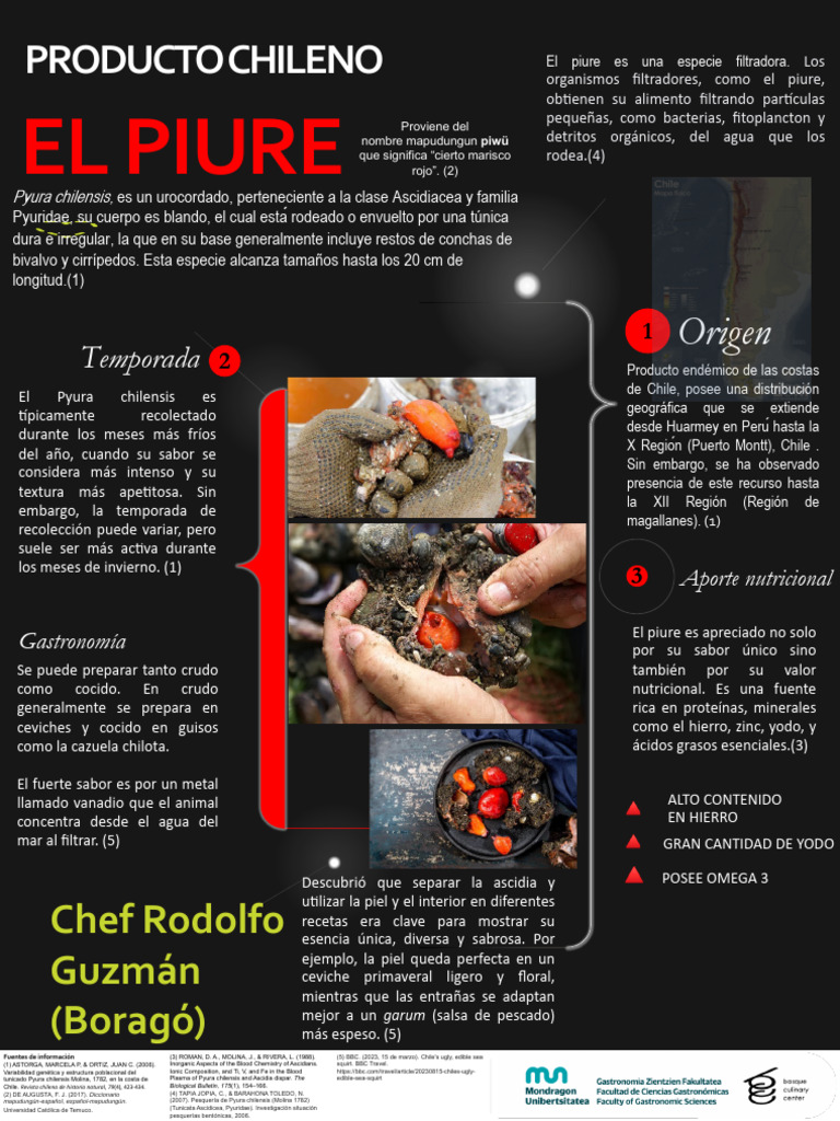 Piure (Pyura Chilensis) | PDF