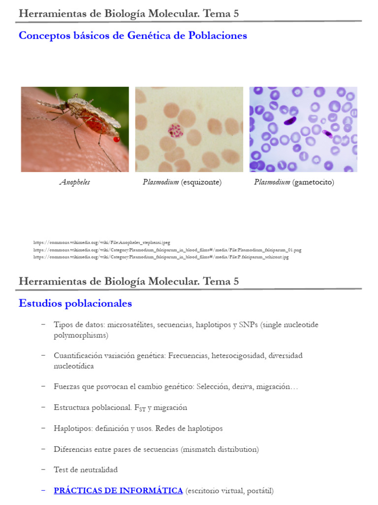 Tema 5 Master - Tropicales - 2023 - 2024 | PDF | Gene | Microsatélite