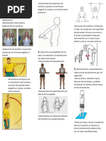 Ejercicios de Codman | PDF | Hombro | Sistema musculoesquelético