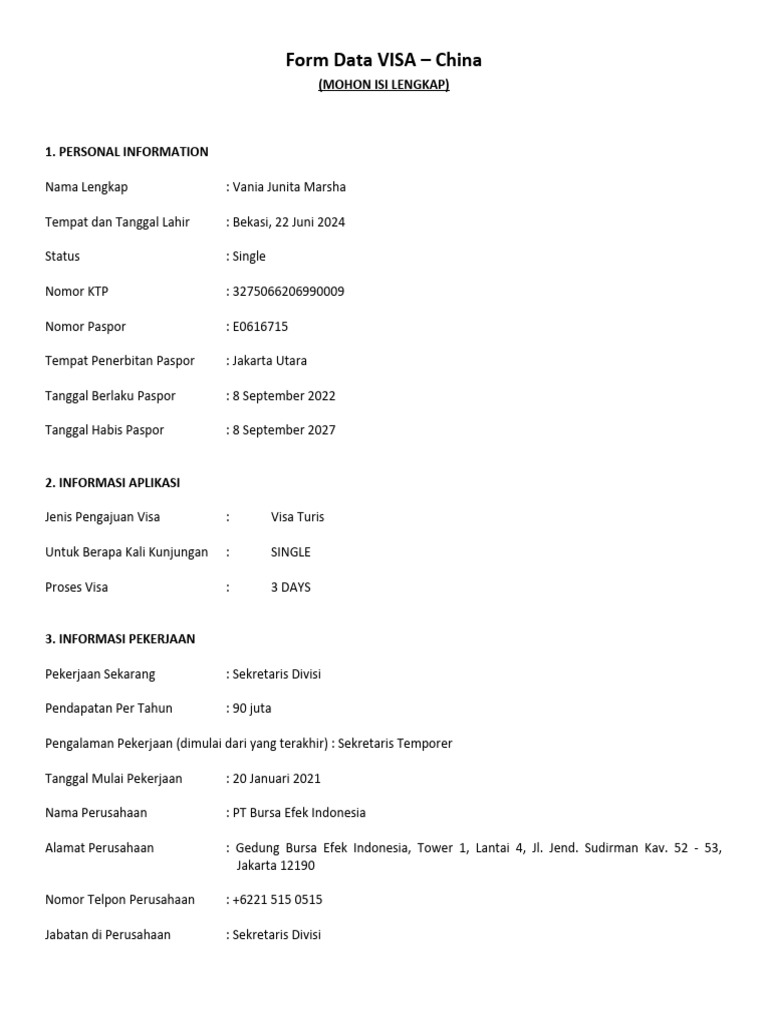 Test Upload Test Visa Example | PDF