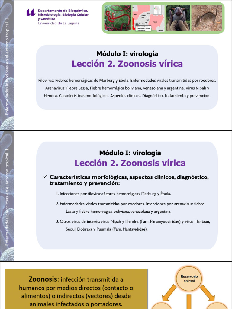 23-24 Módulo I. Lección 2 - Zoonosis Vírica | PDF | Virus ...