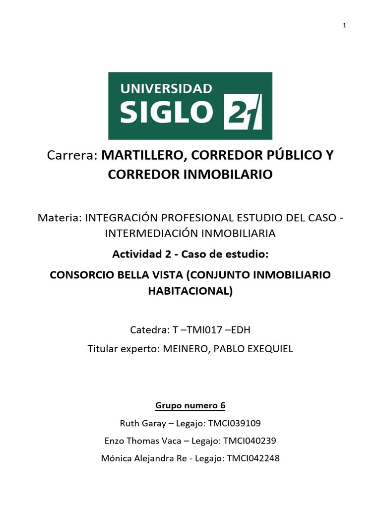 Entrega TP2 Integracion Profesional Grupo 6 Año 2024 | PDF | Análisis FODA | Business