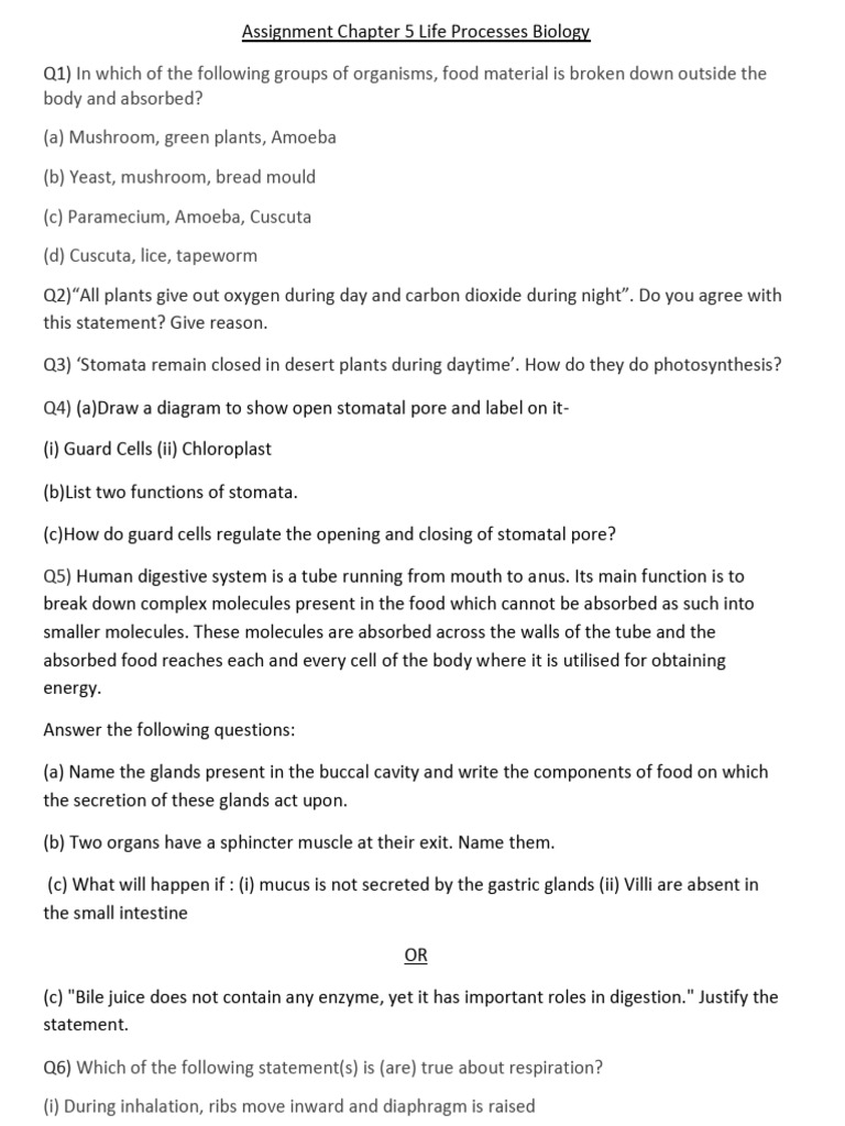 Assignment Chapter 5 Life Processes Biology | PDF | Respiratory System ...