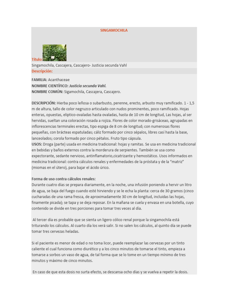 Propiedades y usos de Singamochila | PDF | Plantas
