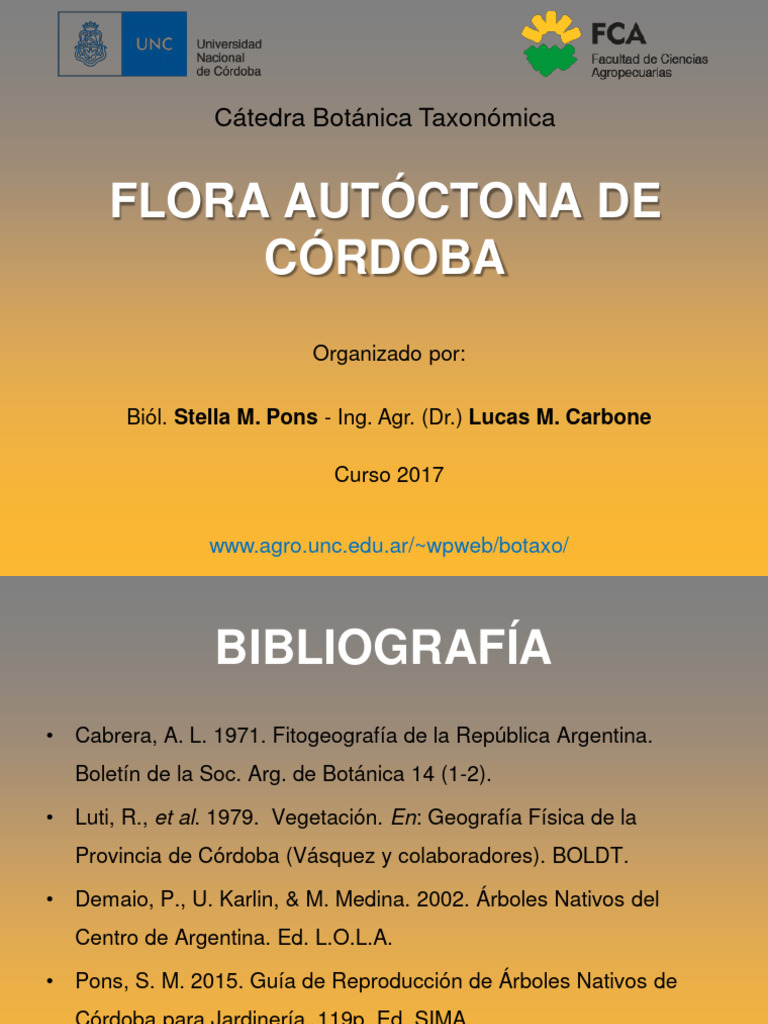 TEORICO Flora Autóctona 2017 | PDF | Botánica | Arboles