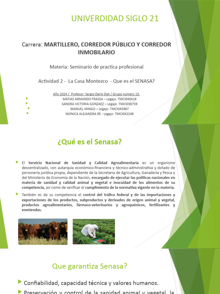Presentacion de Senasa Tp Num 2 Mat Seminario de Pract Prof 2024 | PDF