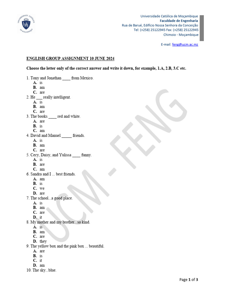 2024S1 - English Group Assignment 10 - 06 - 24 | PDF
