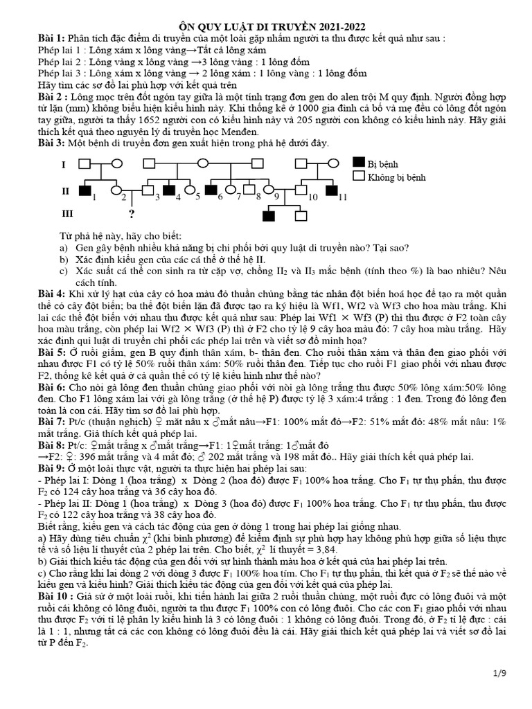 BÀI TẬP QLDT | PDF