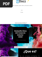 INSTRUCTIVO PROCEDIMIENTO PARA EL REGISTRO ANTE LA VUCE DEF 31ago2022 | PDF | Usuario ...