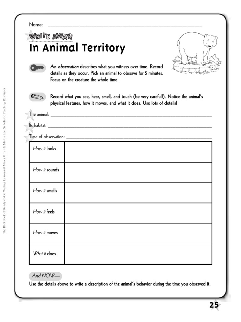 Animal Creative Writing | PDF