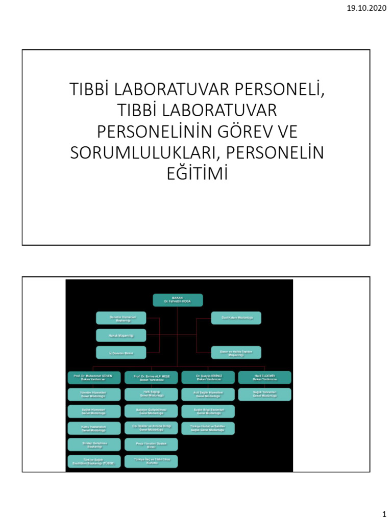 Tıbbi Lab - Org.ders-Avys-2 | PDF
