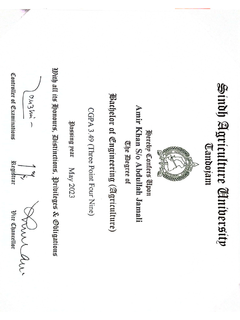 Bachelor Degree | PDF