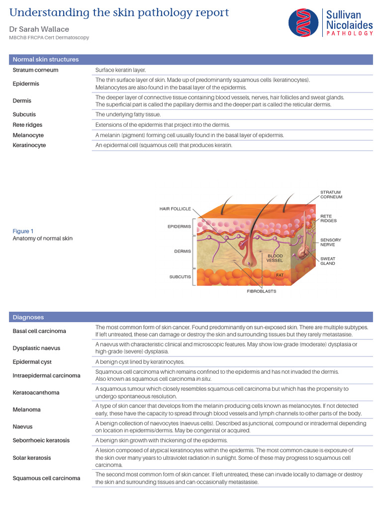 Understanding the Skin Pathology Report | Download Free PDF | Epidermis ...