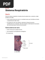 Anatomia Do Nariz e Seios Da Face | PDF | Sistema Esquelético | Otorrinolaringologia