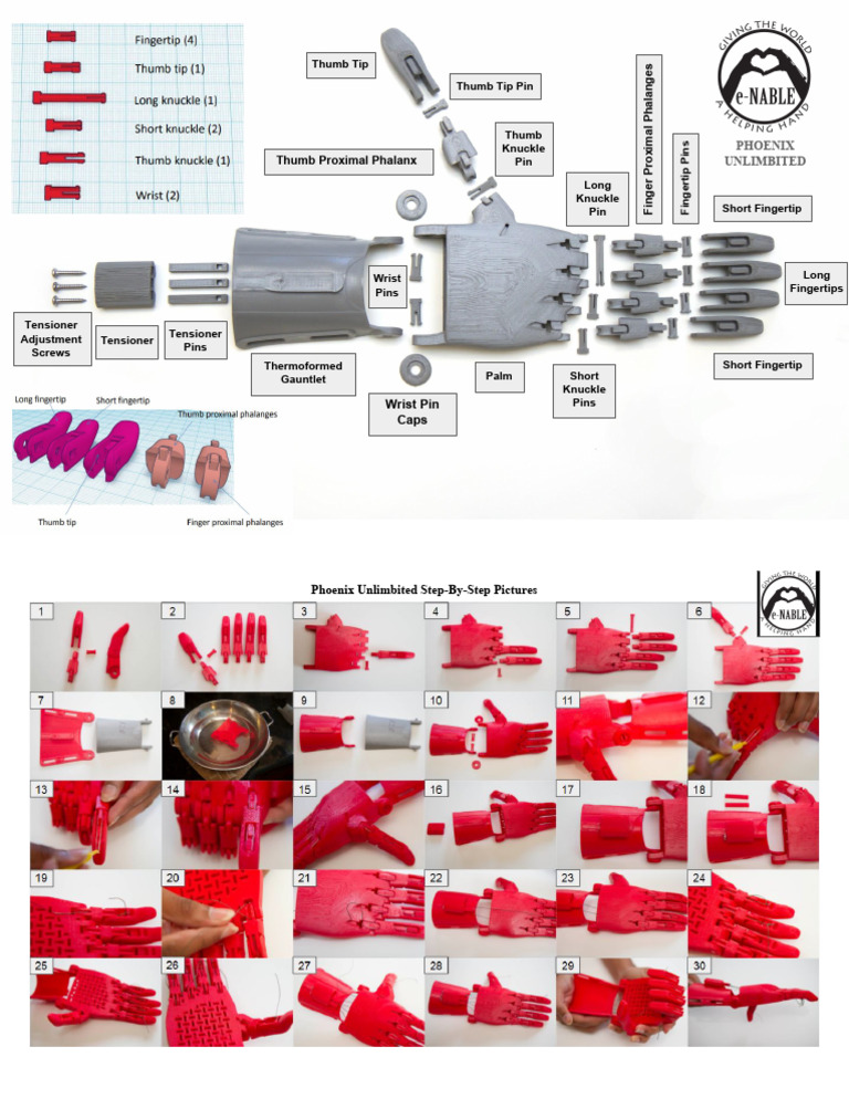 Phoenix Unlimbited Instructions Pdf