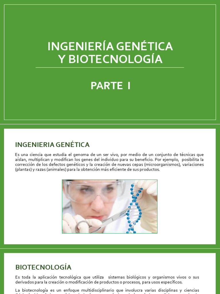 ING. GENETICA Y BIOTEC. 5to Sec. Parte I | PDF | ADN recombinante | Clonación