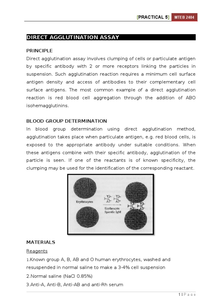 Direct Agglutination Assay | PDF | Blood Type | Antibody