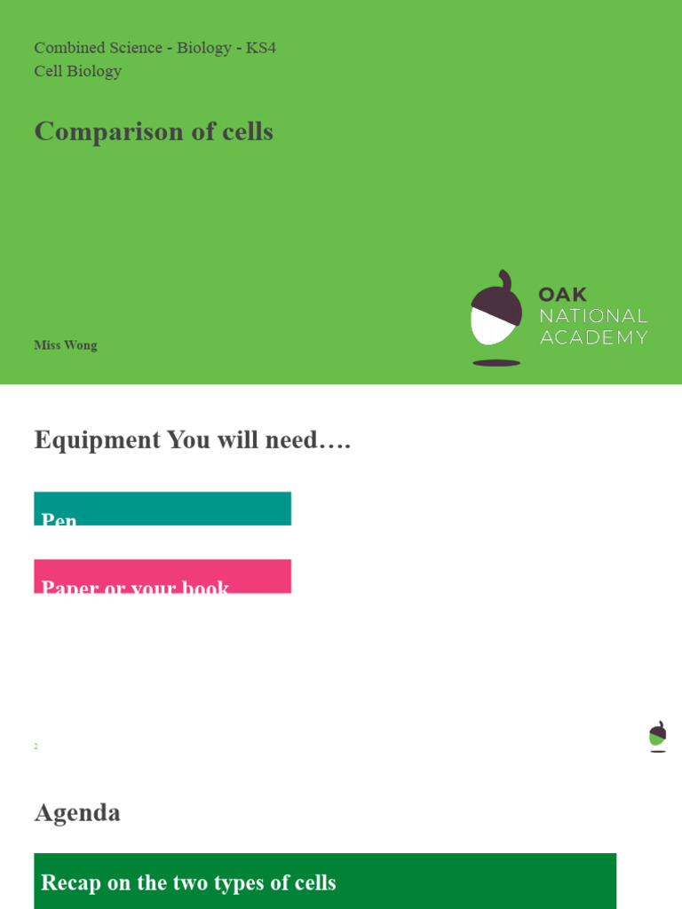 Comparing of cells - presentation | PDF | Cell (Biology) | Prokaryote