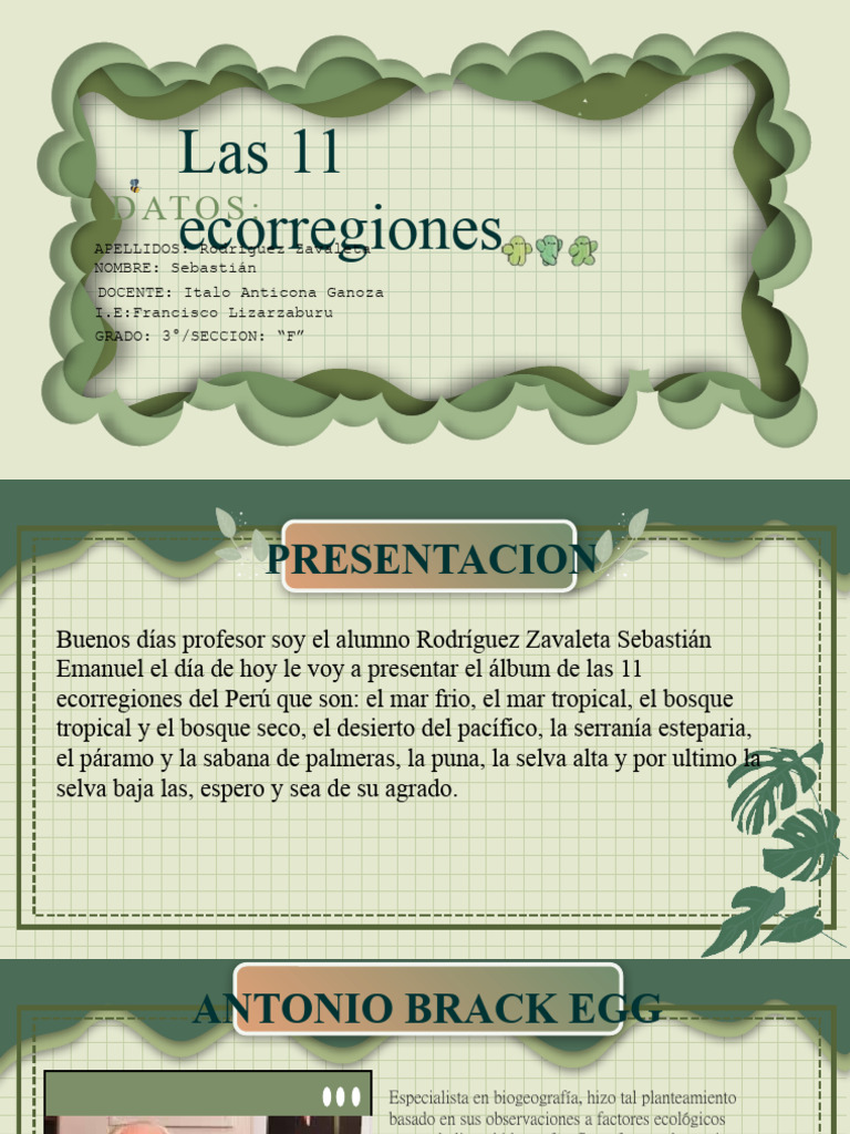 Album de Ccss | PDF | Selva | Zona tropical