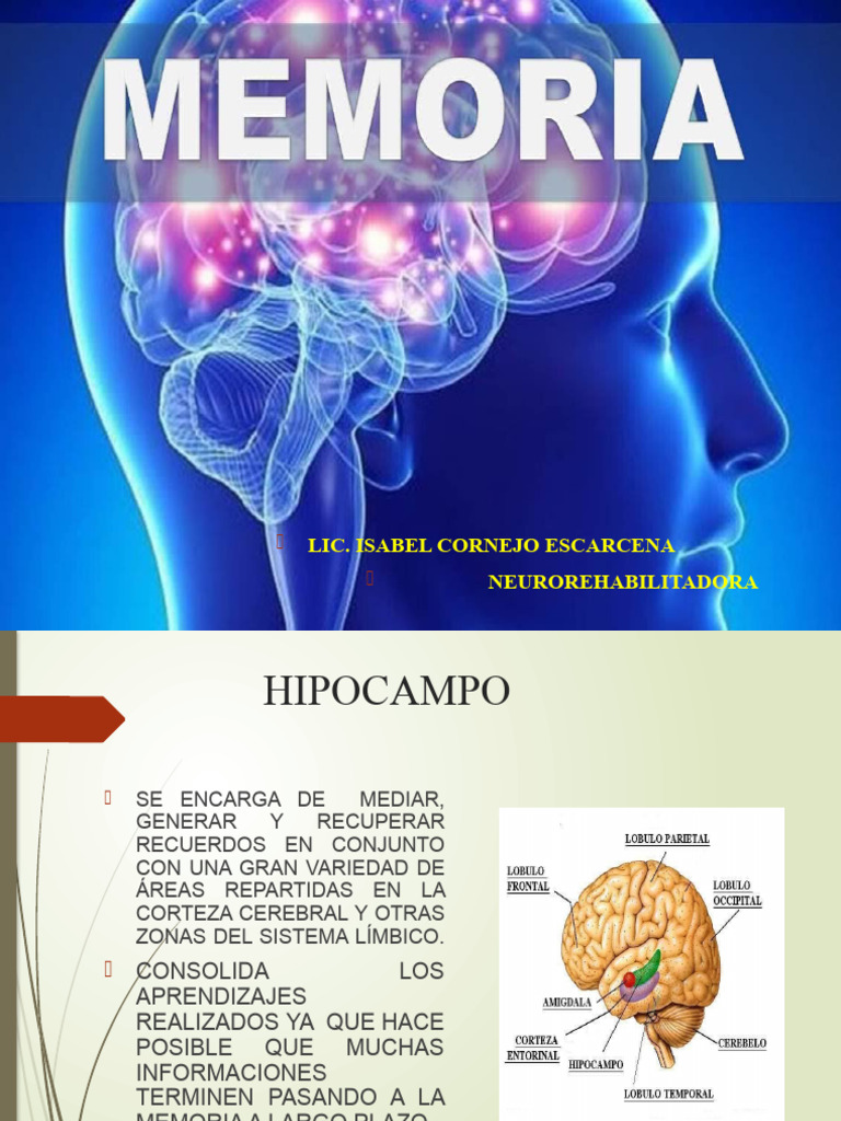Clase 7 - Memoria | PDF | Memoria | Neurociencia