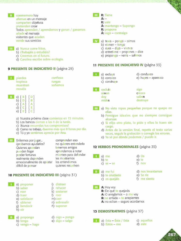 (R) Livro Verde - Gramática y Práctica de Español para Brasileños | PDF