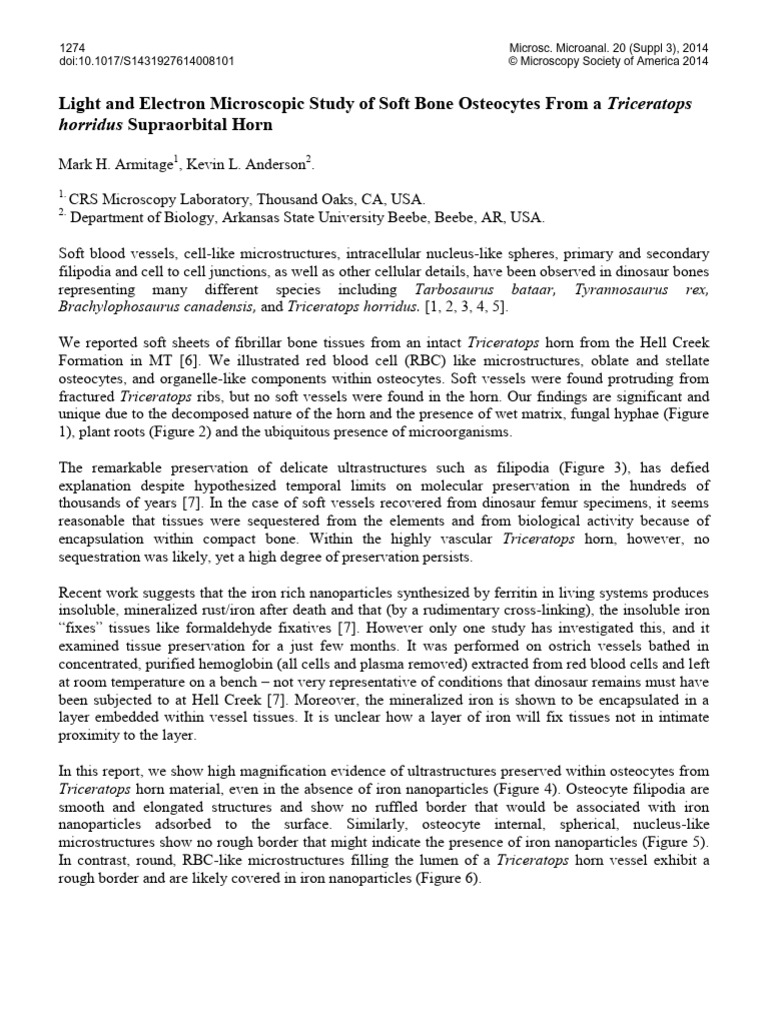 Light and Electron Microscopic Study | PDF | Bone | Tissue (Biology)