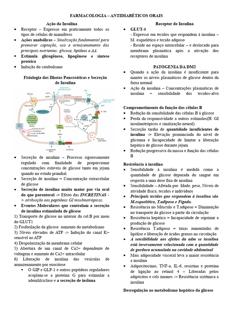 Farmacologia dos Antidiabéticos Orais | PDF | Diabetes | Insulina