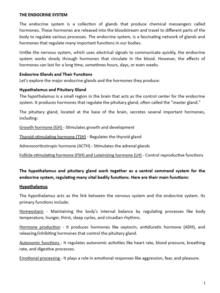 THE ENDOCRINE SYSTEM 100 Level Class PDF Endocrine System