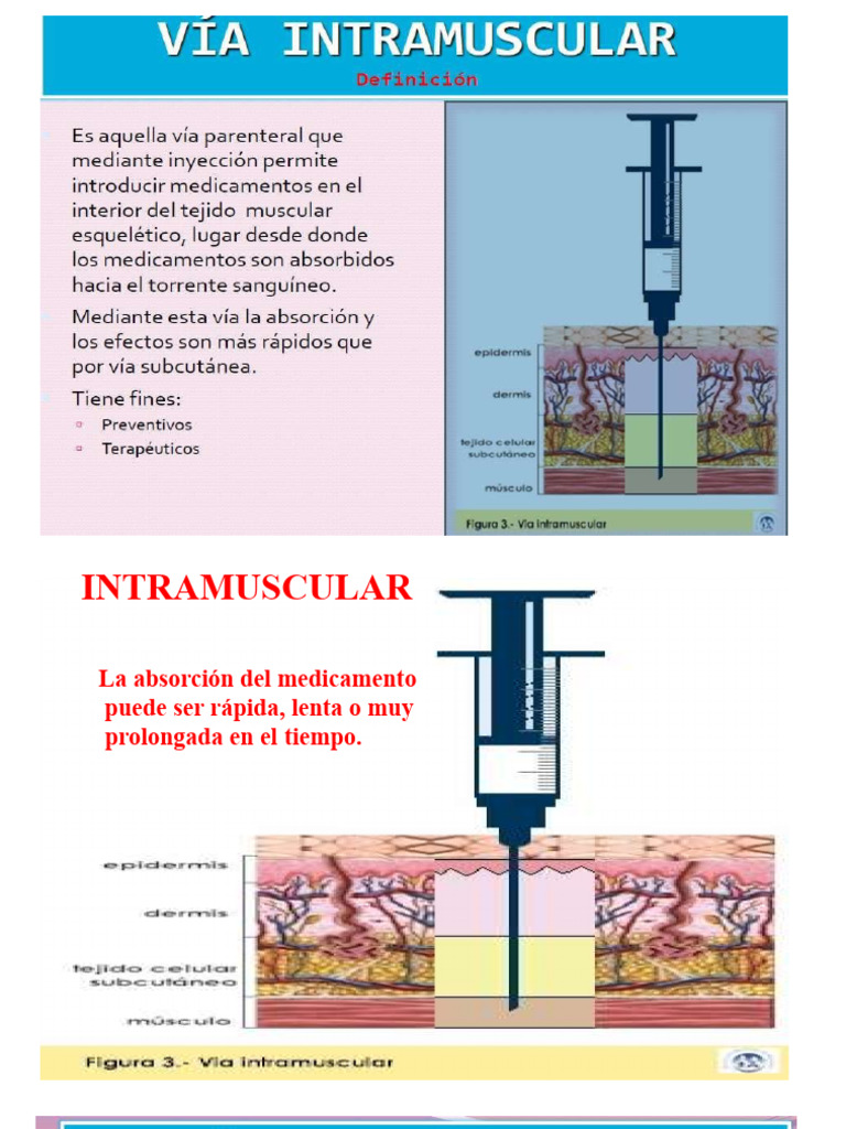 12 y 13 ACTIV INTRAMUSCULAR | PDF | Inyección (medicina) | Medicamentos ...