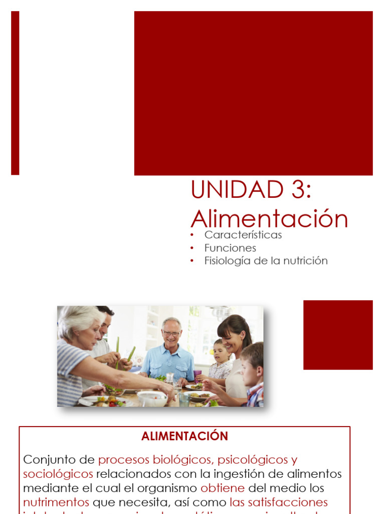 N1 Alimentación U3 PDF | PDF | Vegetarianismo | Alimentos