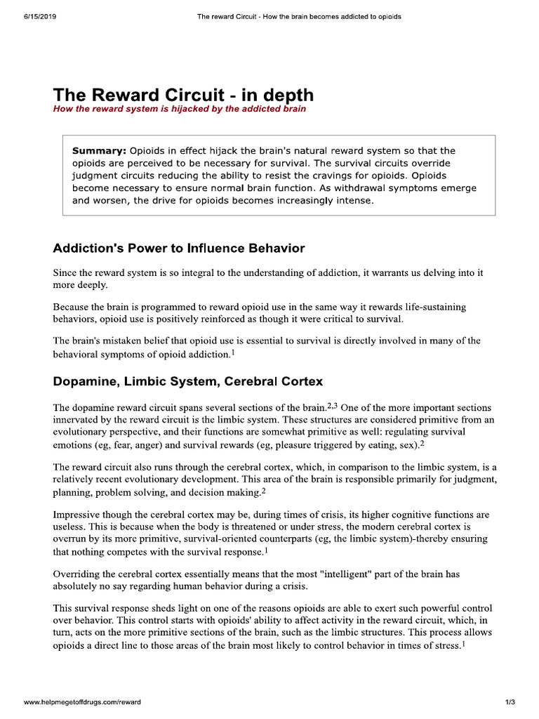 5 The Reward Circuit - How The Brain Becomes Addicted To Opioids | PDF