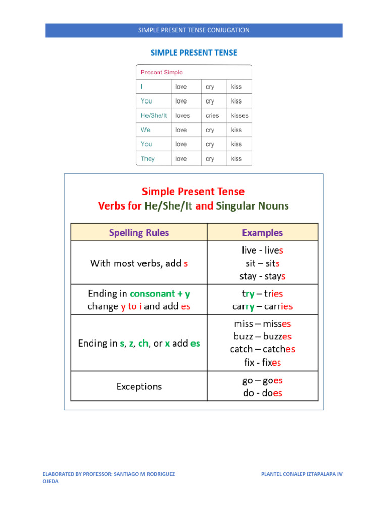 Assignment 8 Simple Present Tense | PDF