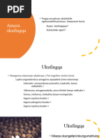 Indaba Emfushane | PDF