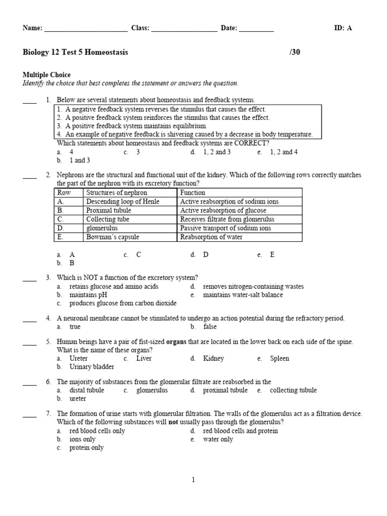 Biology 12 Test 5 Homeostasis V6 No Ans | PDF | Kidney | Axon