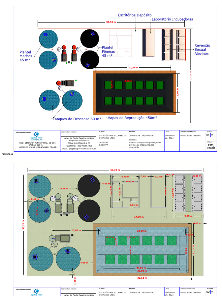 Larvicultura Tilápia em Ras 920 M | PDF | Biologia Marinha | Peixes