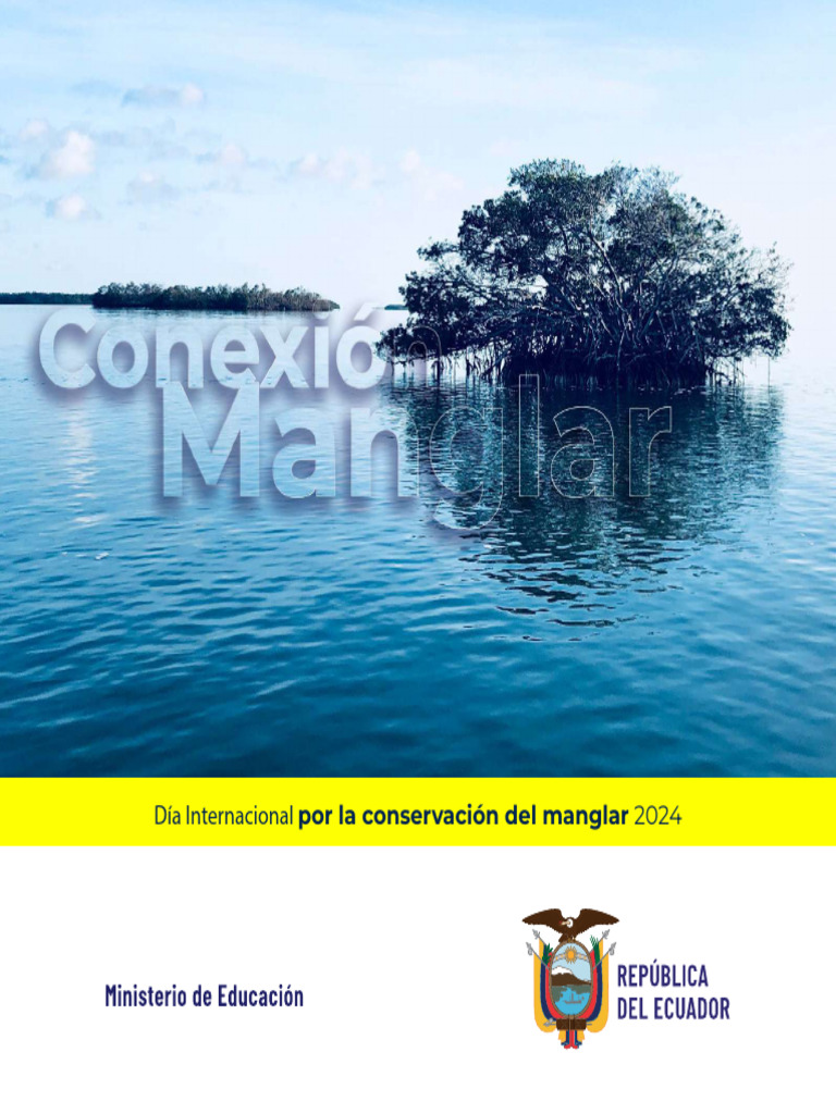 Conexión Manglar: Educación y Acción | PDF | Residuos | Mangle
