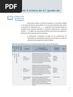 Plan Lector Primer Grado | PDF | Educación primaria | Comprensión lectora