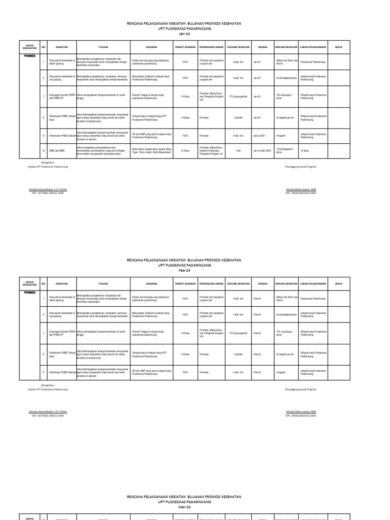RPK Bulanan Promkes 2024 | PDF