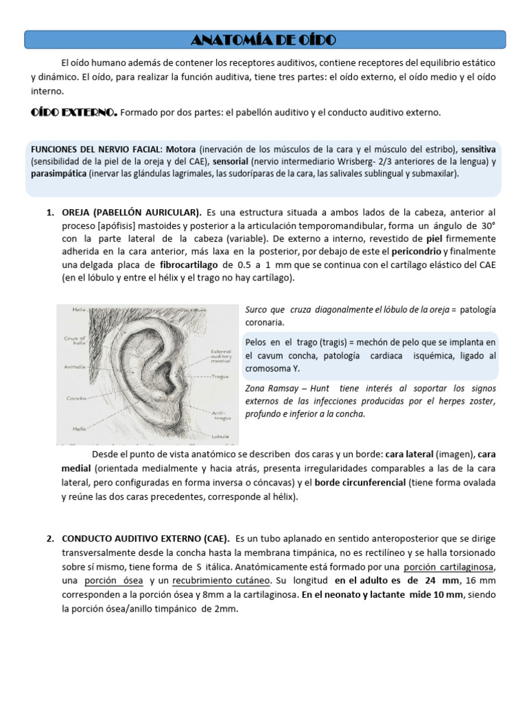 Orl 2 | PDF | Oído | Sistema Auditorio