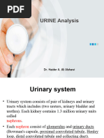 Cystoclysis | PDF | Urinary Tract Infection | Catheter