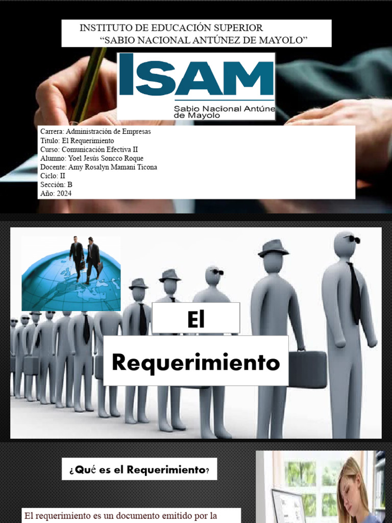 El Requerimiento | PDF