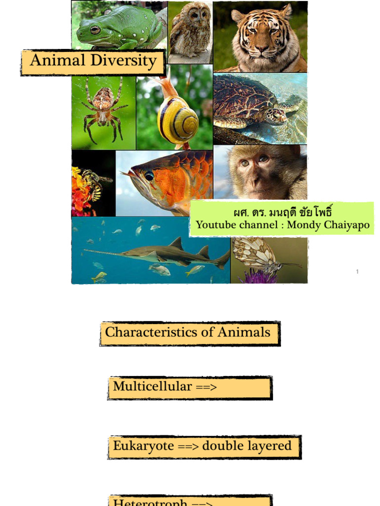 67-202143-1-Animal Diversity | PDF | Mollusca | Zoology