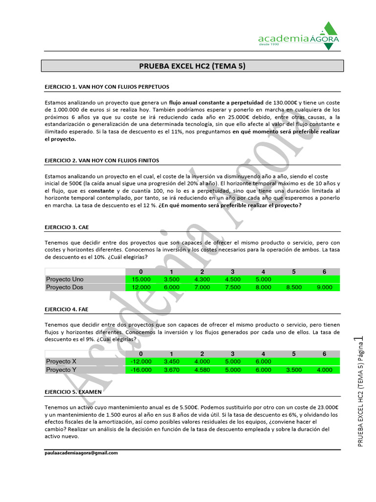 Enunciados Prueba Excel Hc2 (Tema 5) | PDF | Economias