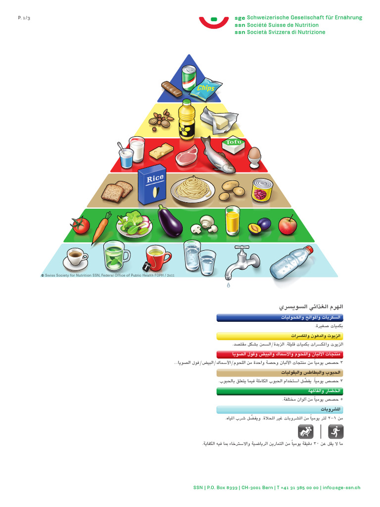 Food Pyramid | PDF
